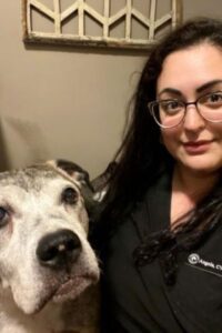 Veterinary Staff In West Springfield, MA 01089 | West Springfield ...