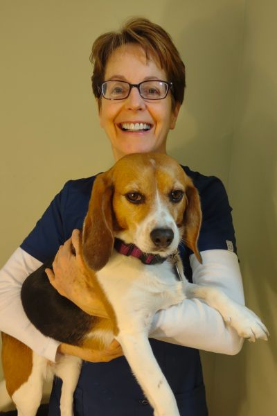 Veterinary Staff In West Springfield, MA 01089 | West Springfield ...